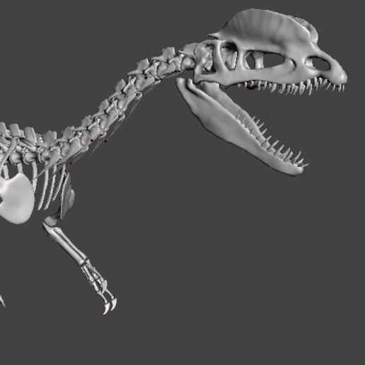 Download STL file Dilophosaurus dinosaur skull • 3D printing model ・ Cults