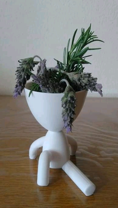 STL file 3 POTS HEADS・3D printing design to download・Cults