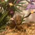 Download free STL file Baby Groot • 3D printing object ・ Cults
