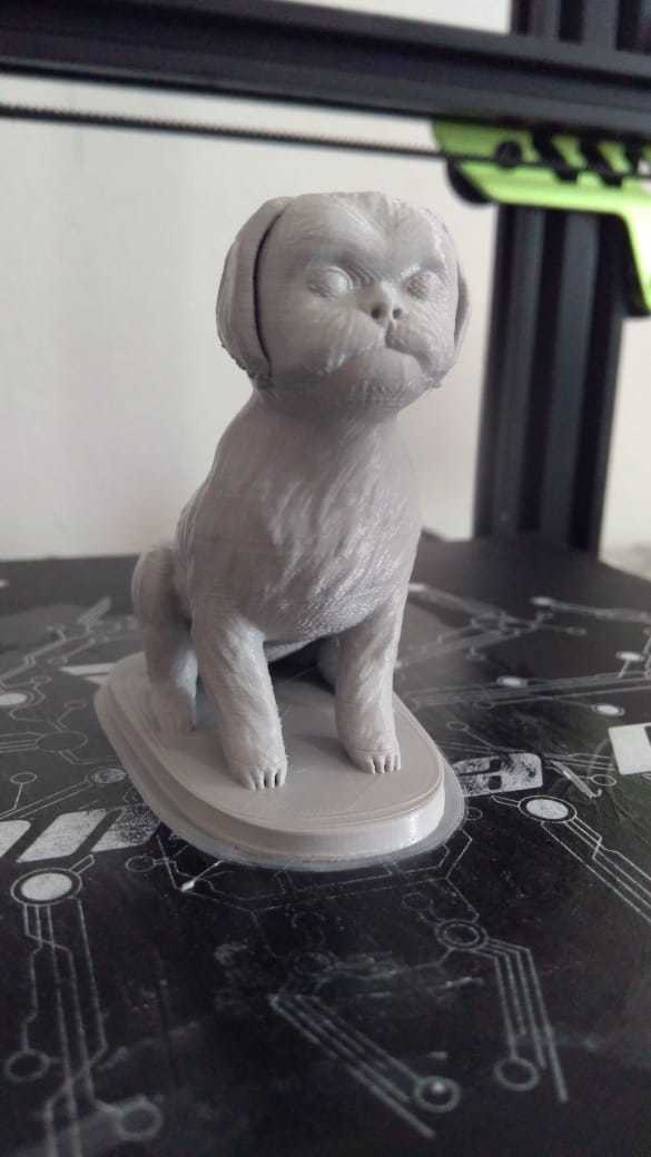STL file Seated Shih Tzu・Design to download and 3D print・Cults
