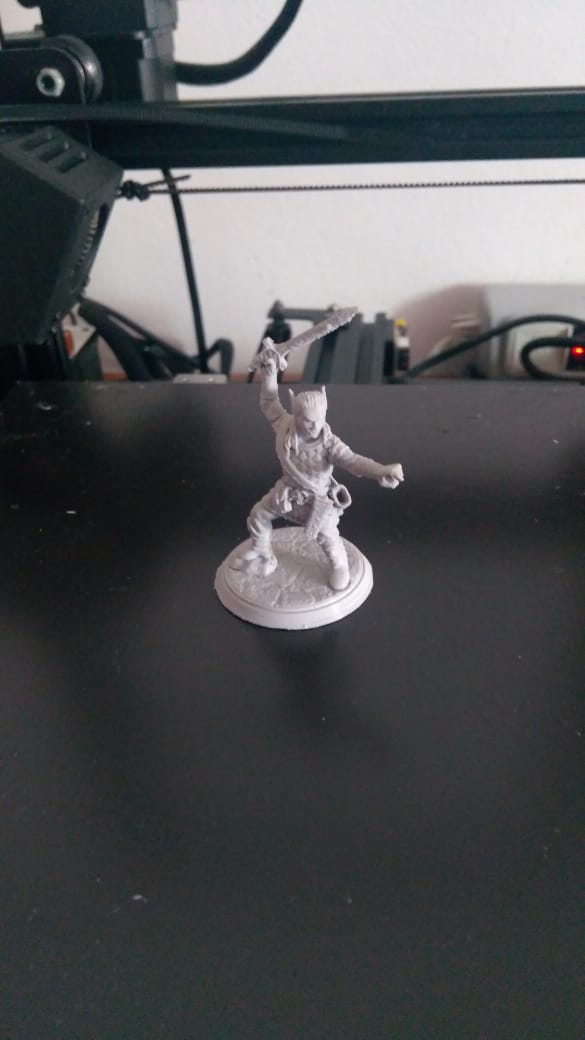 STL file High Elf Paladin RPG Miniature STL pre-supported 🧝・3D print ...