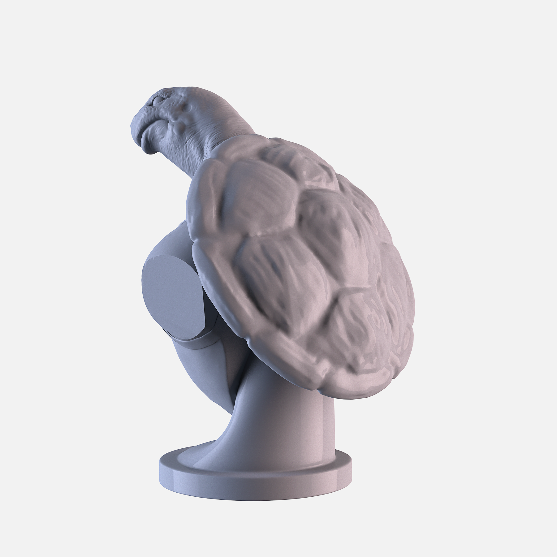 Free 3D file Turtle・3D print model to download・Cults