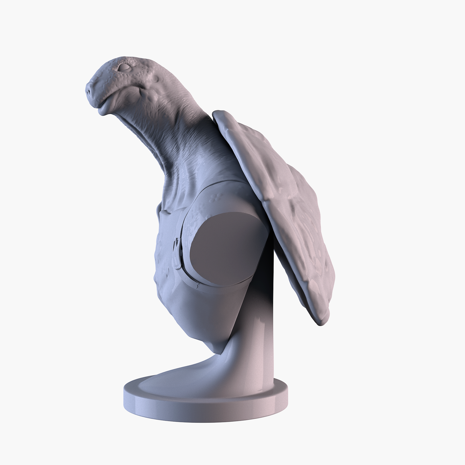 Free 3D file Turtle・3D print model to download・Cults
