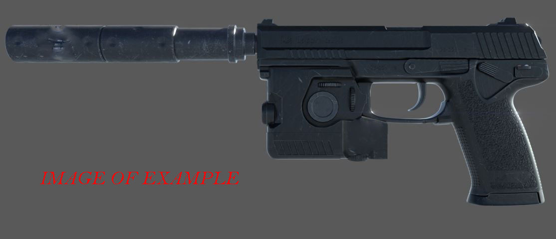 Socom Pistol Mgs