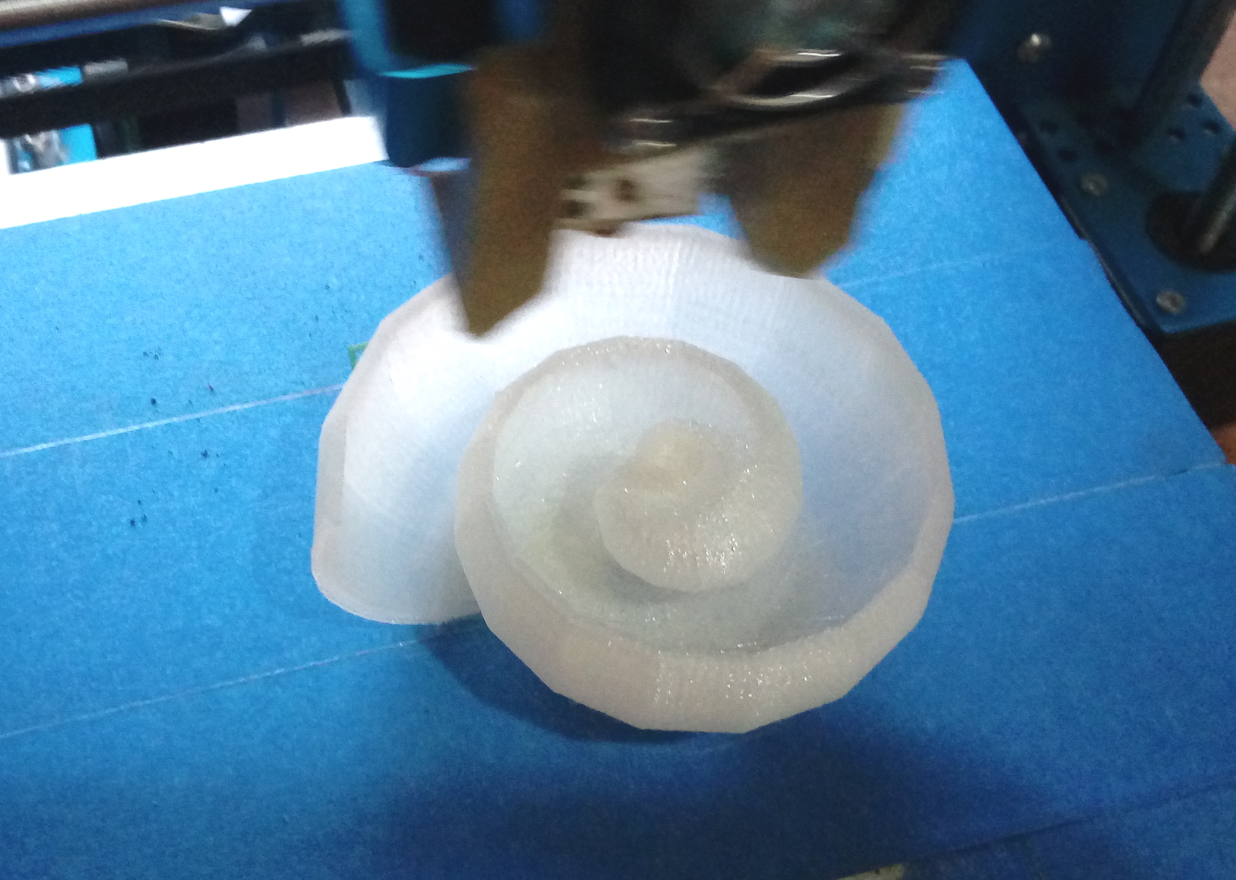 Free STL file Simple seashell・3D printable design to download・Cults