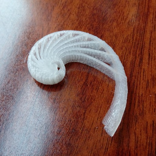 Download free 3D printer designs Nautilus shell ・ Cults