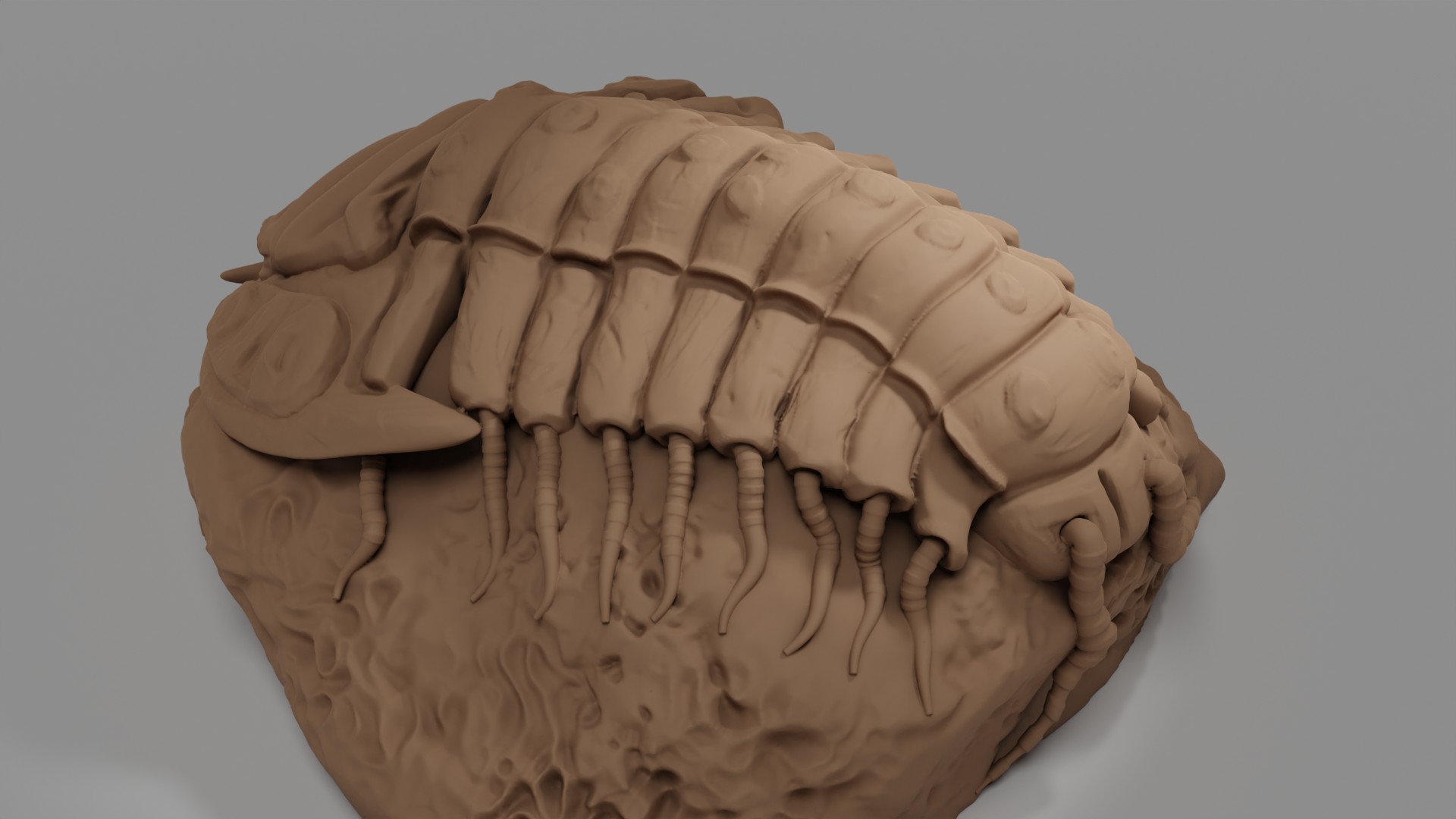 Fichier STL Trilobite・Plan imprimable en 3D à télécharger・Cults