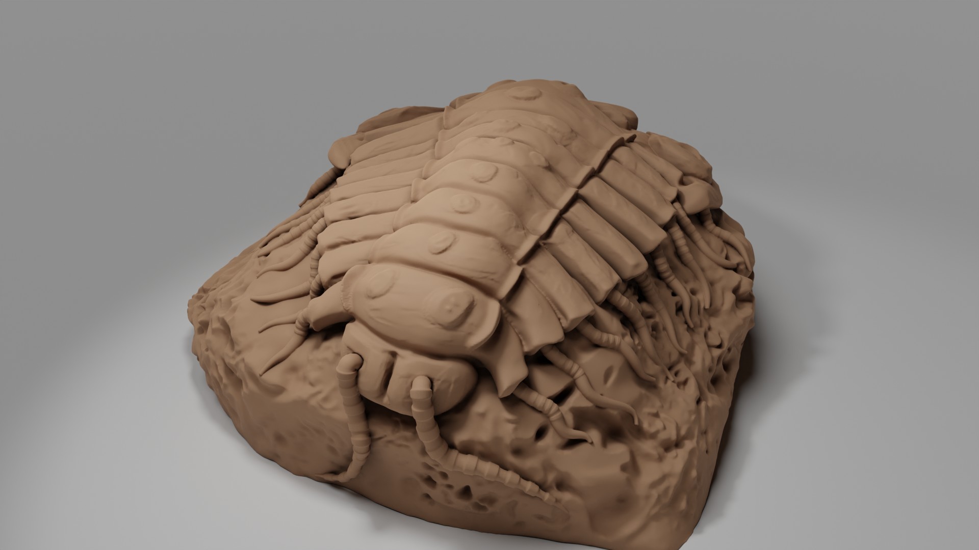 Archivo STL Trilobite・Plan imprimible en 3D para descargar・Cults