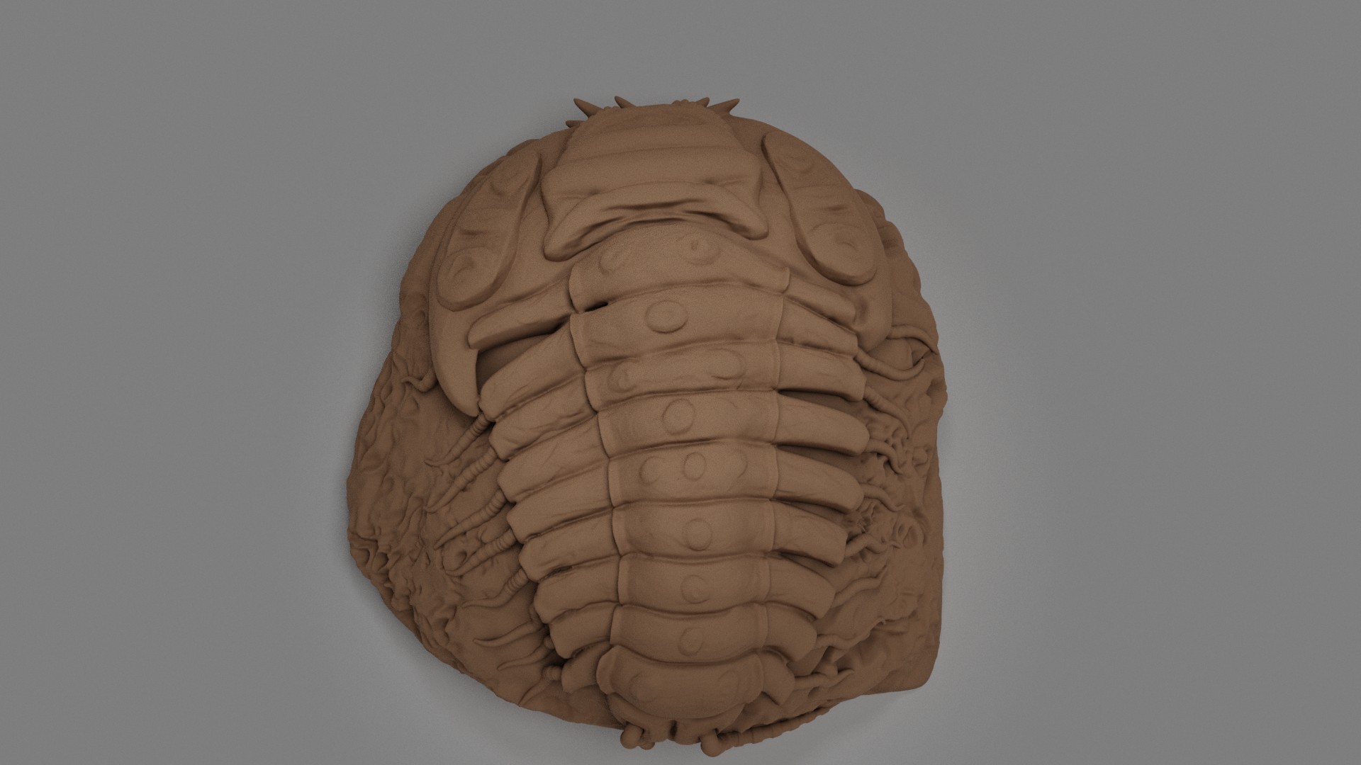 Archivo STL Trilobite・Plan imprimible en 3D para descargar・Cults