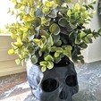 Download free 3D printing designs skull plantpot ・ Cults