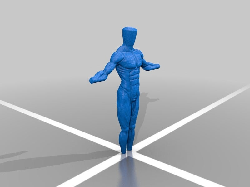 Free STL file Male anatomy・3D print design to download・Cults