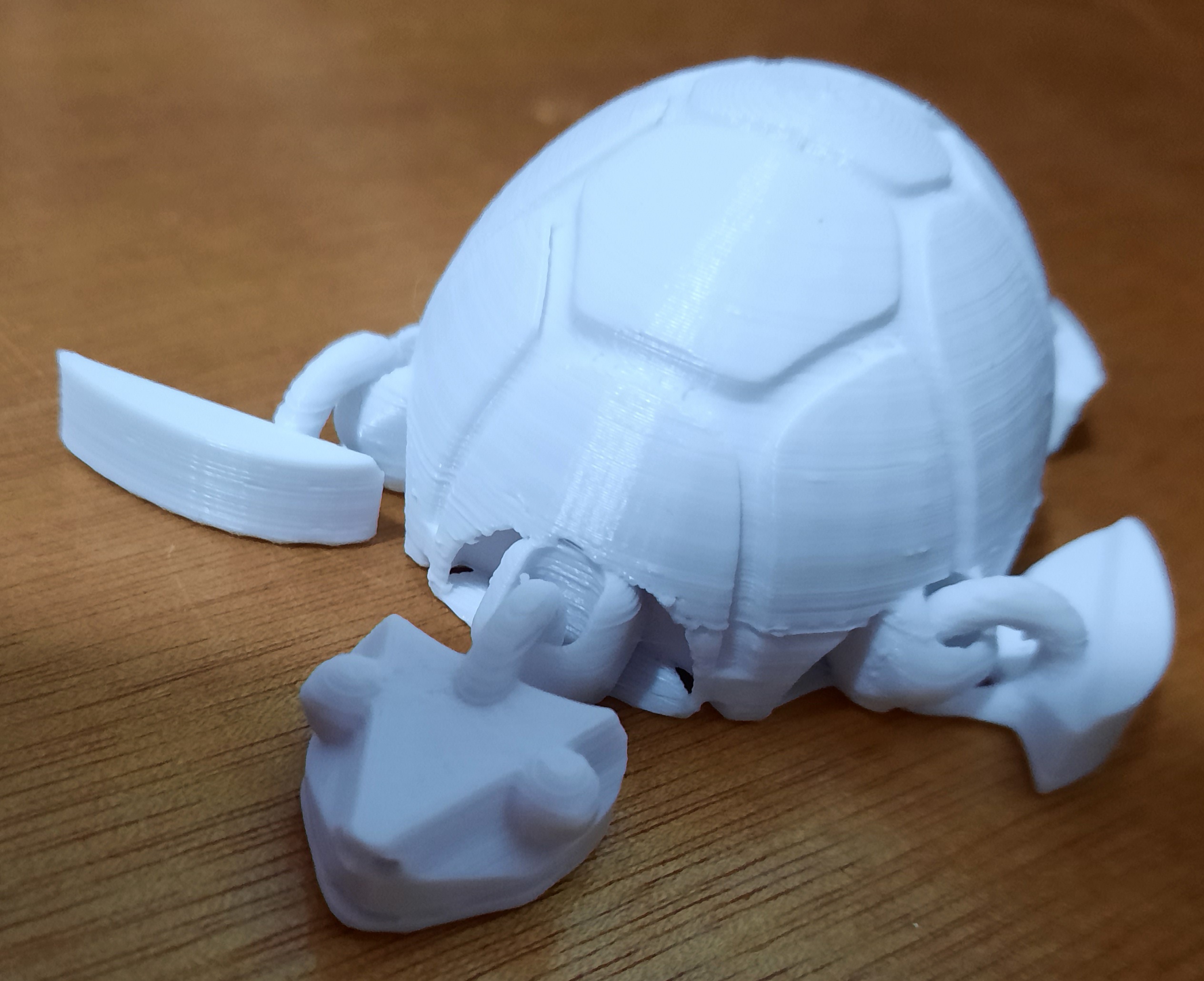 Free STL file flexible turtle・3D print object to download・Cults