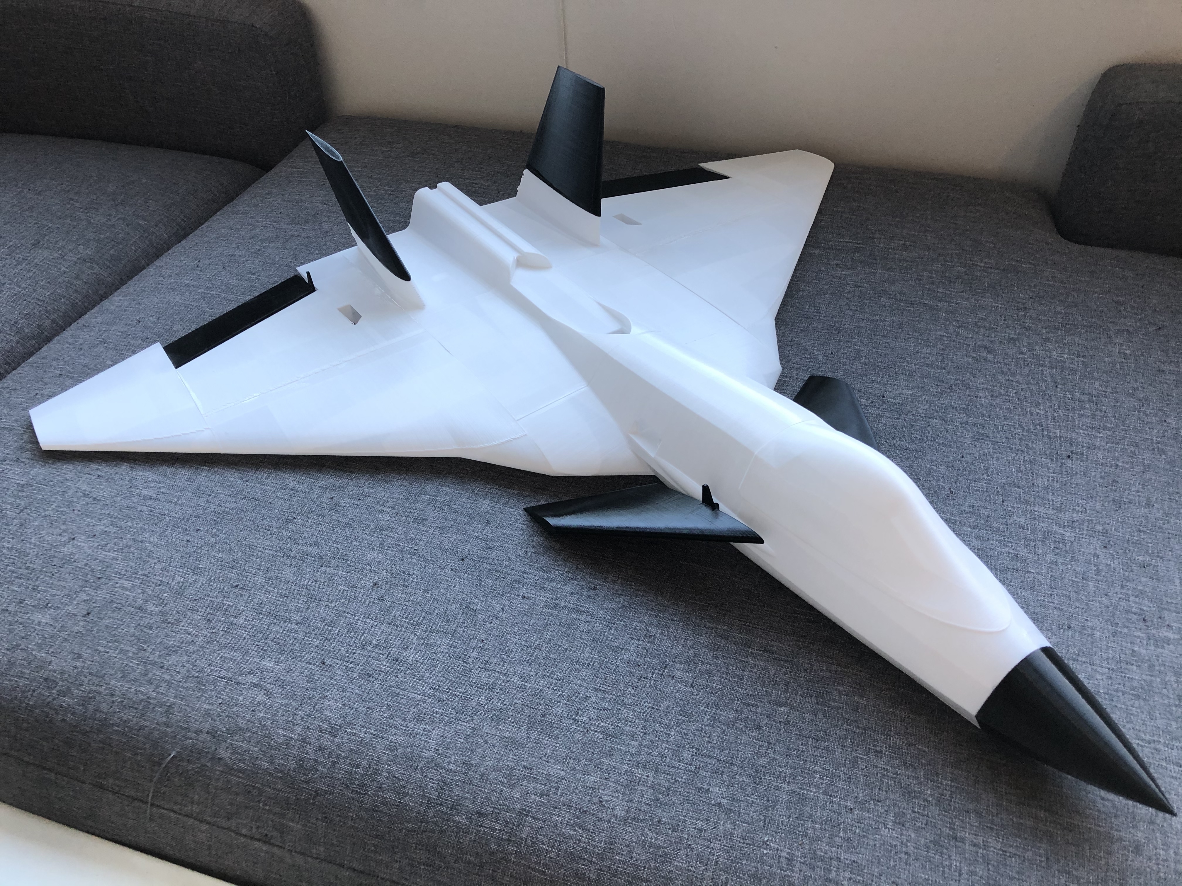 3D file RC aircraft, Raccoon・3D printable model to download・Cults