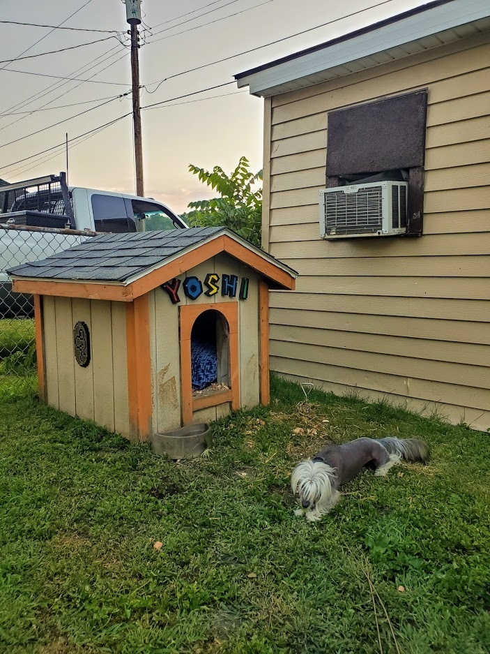 Free 3D file Yoshi Coin - Super Mario World (Dragon Coin) 🪙・3D ...