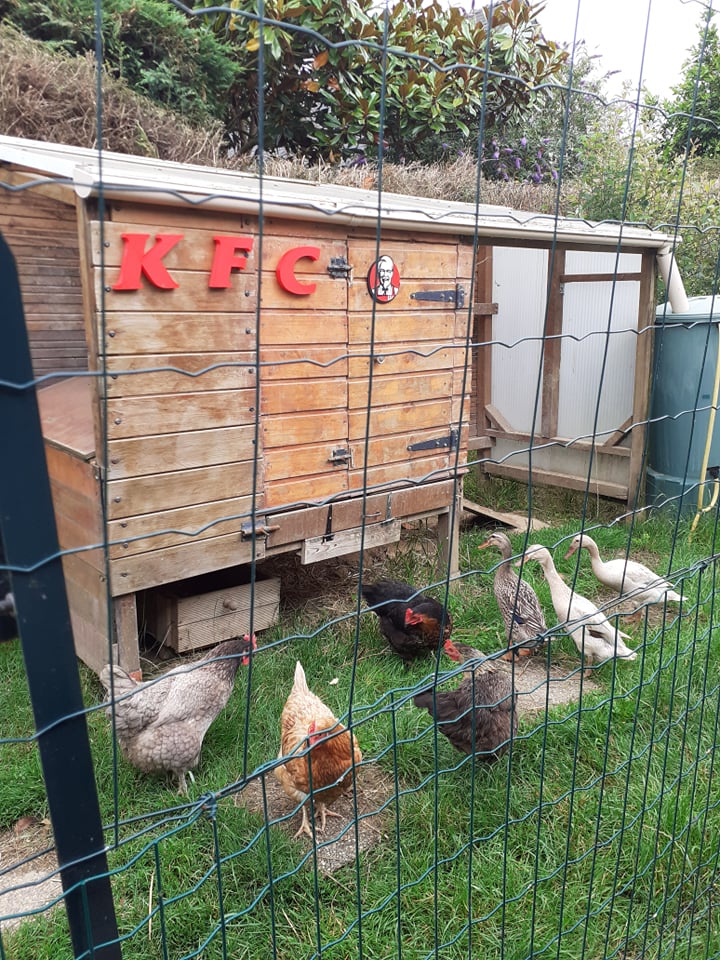 Archivo STL Logotipo de KFC 👽・Plan imprimible en 3D para descargar・Cults