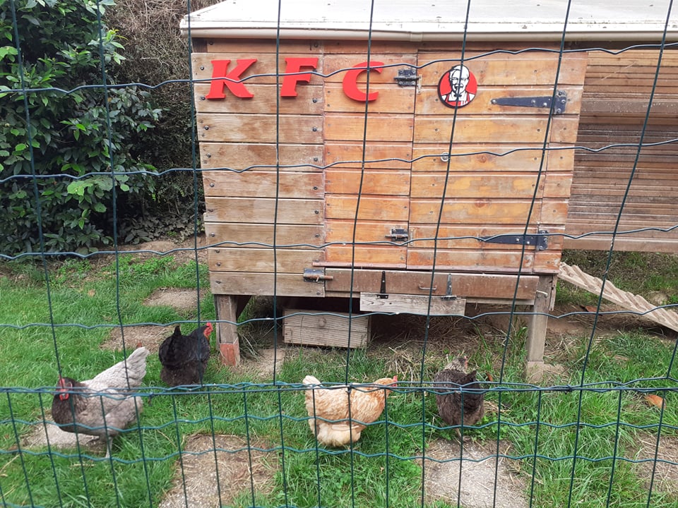 Archivo STL Logotipo de KFC 👽・Plan imprimible en 3D para descargar・Cults