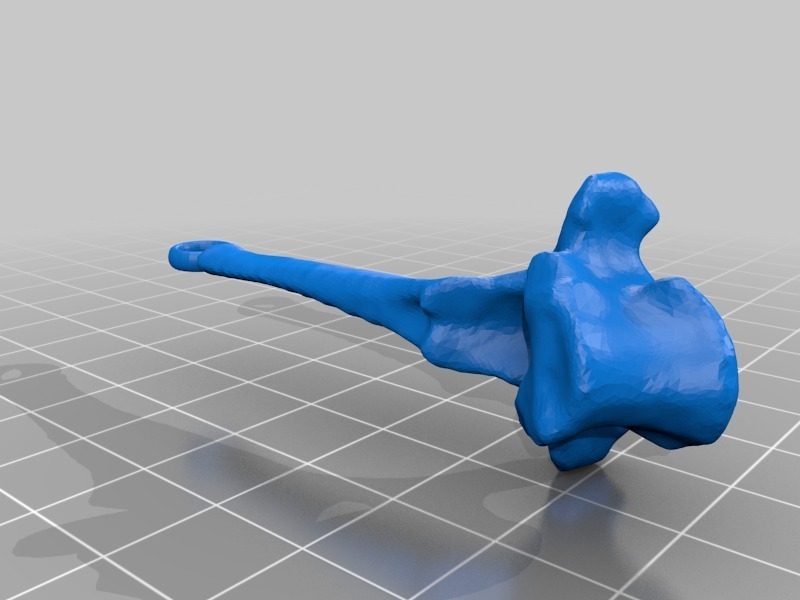 Free 3D file Goat vertebra pendant・3D printing template to download・Cults