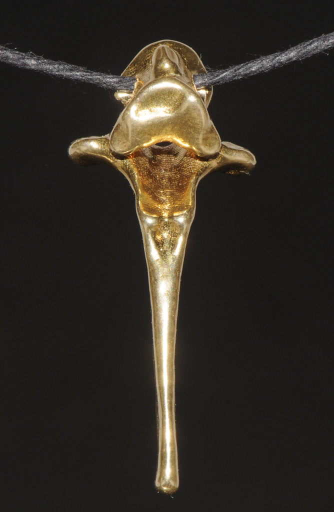 Free 3D file Goat vertebra pendant・3D printing template to download・Cults