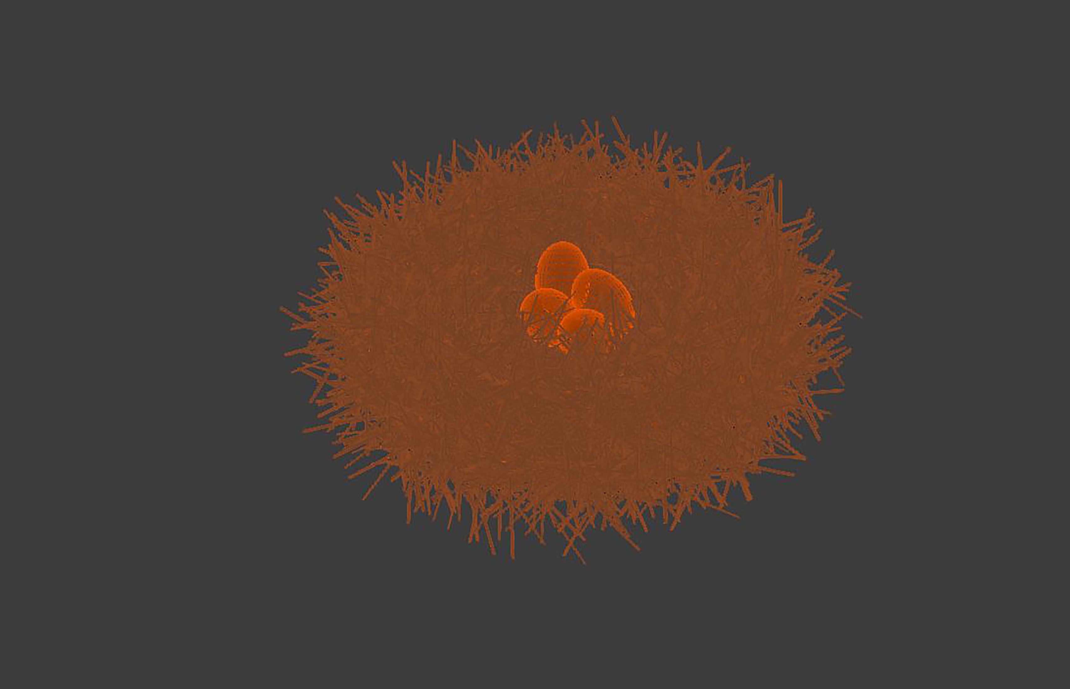 STL file BIRDs NEST・3D printable model to download・Cults