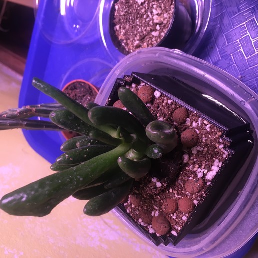 Download free GCODE file Basic Plant Pot • Model to 3D print ・ Cults