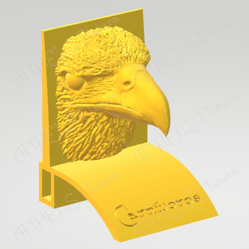 STL file Bird beaks and diets. Spanish language.・Design to download and ...