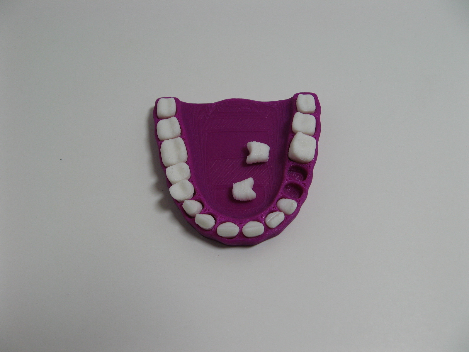 STL file teeth model・3D printable design to download・Cults