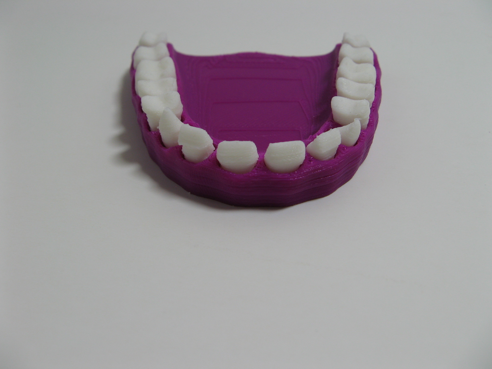 STL file teeth model・3D printable design to download・Cults