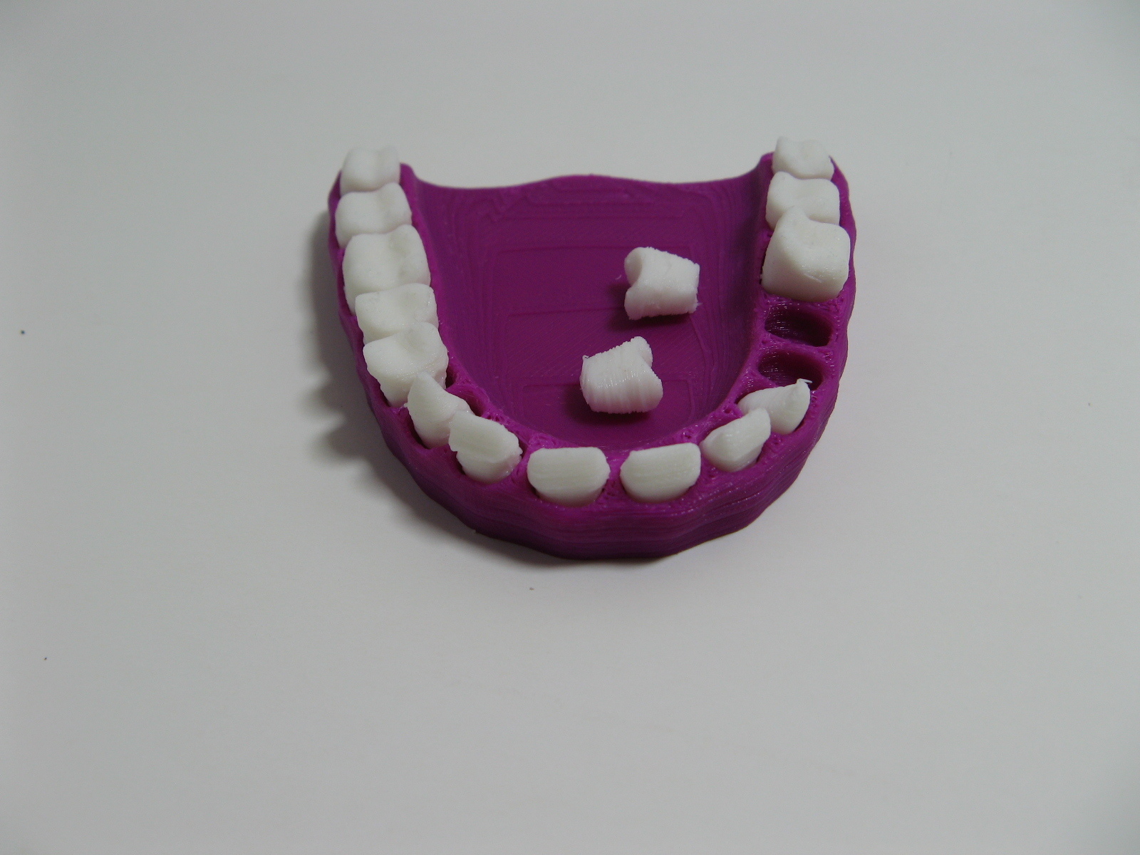 STL file teeth model・3D printable design to download・Cults
