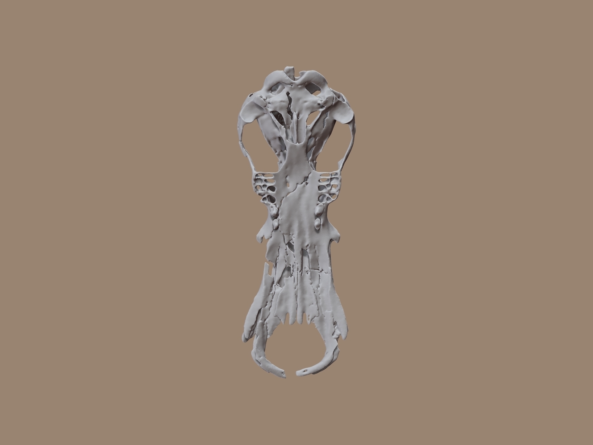 3D file Obdurodon dicksoni skull CT Scan based model by Marco ...