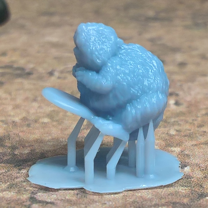 Free STL file Cheeky Free Beaver・3D printer design to download・Cults