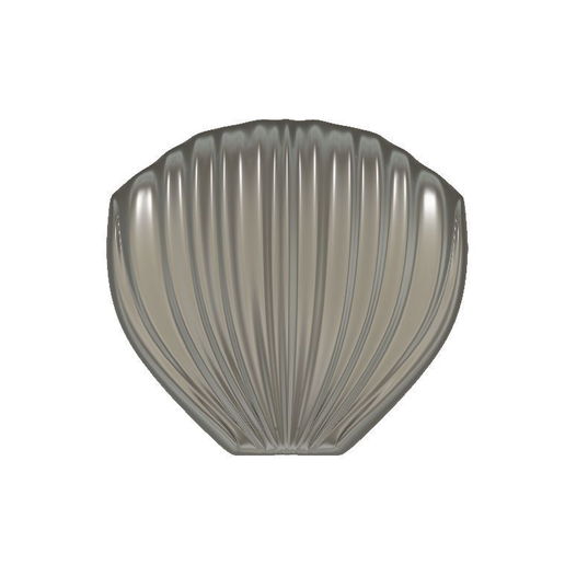 Download STL file Opening Seashell Collection • 3D printing object ・ Cults