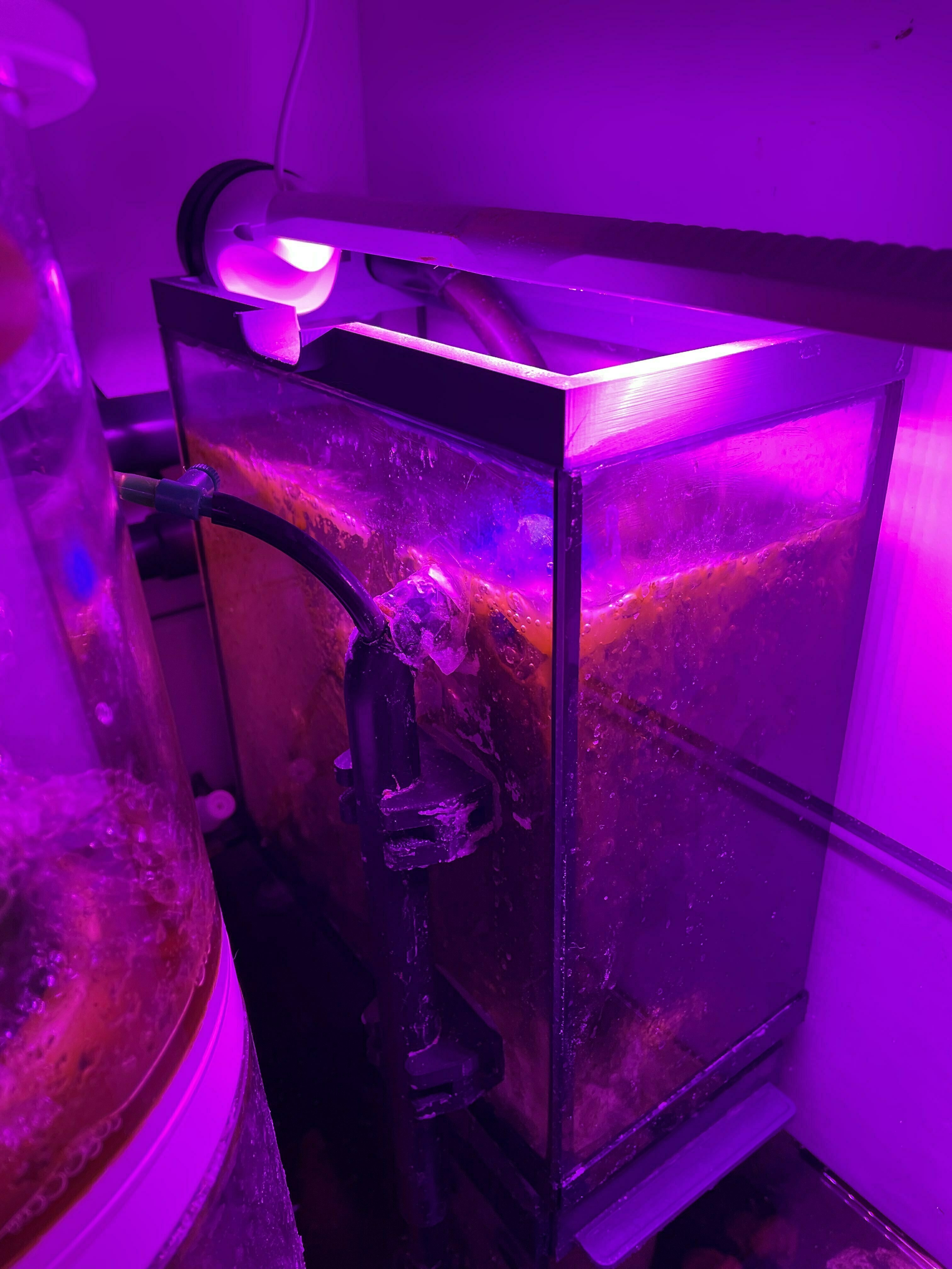 Fichier STL refugium kit red sea reefer 170・Idée pour impression 3D à ...