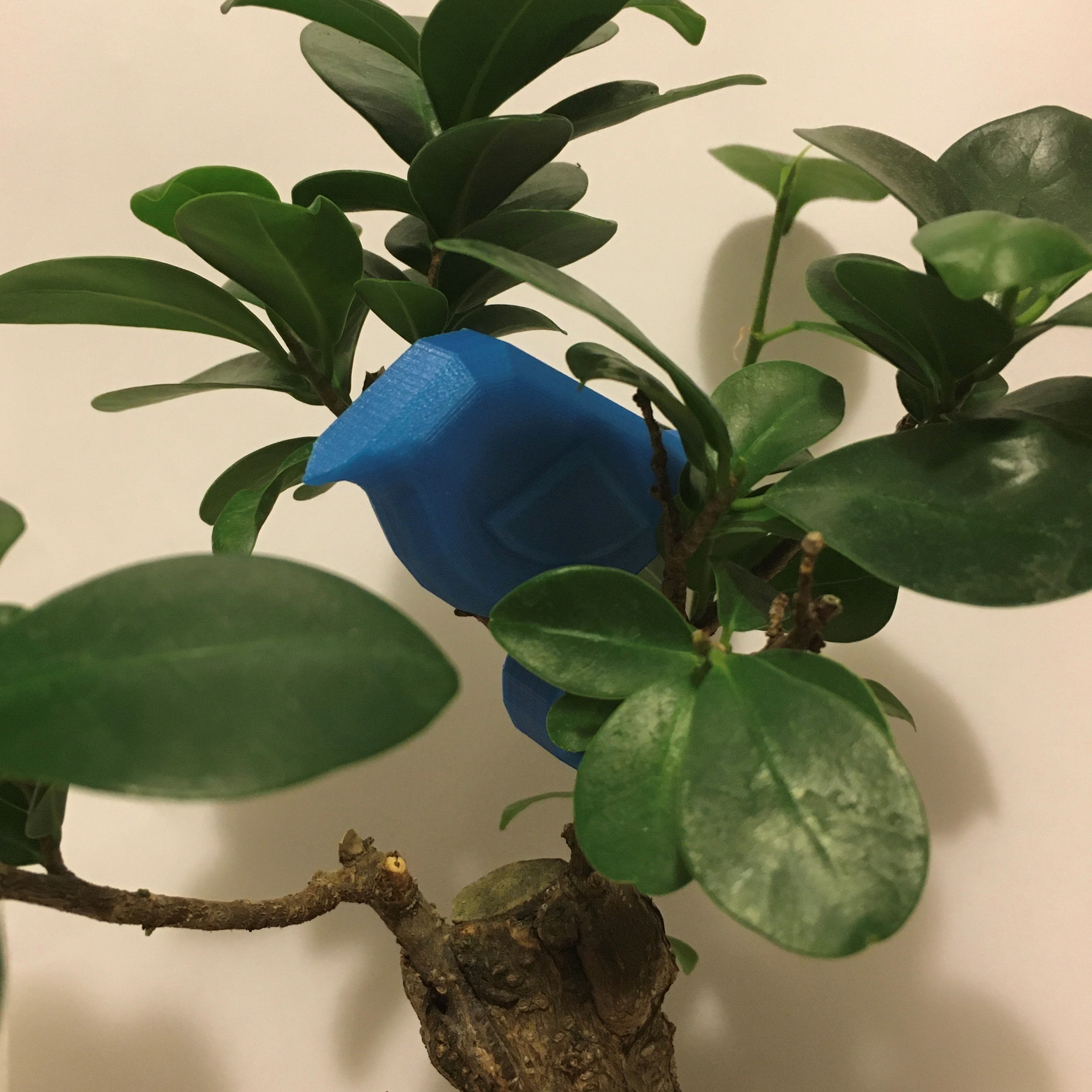 Free 3MF file A Bird in the Hand・3D printing model to download・Cults