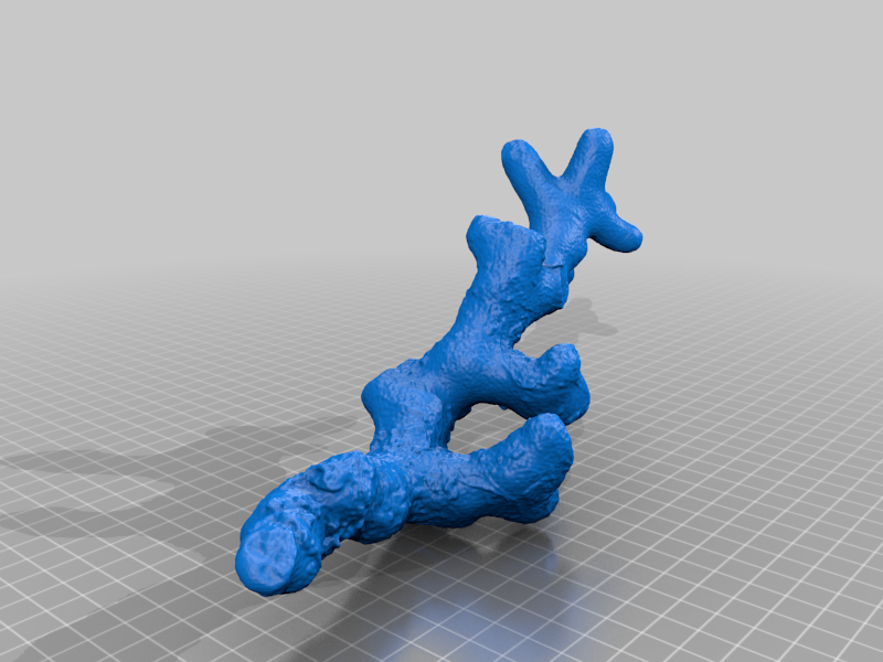 Free 3D file 3D Printing Coral・3D printer model to download・Cults