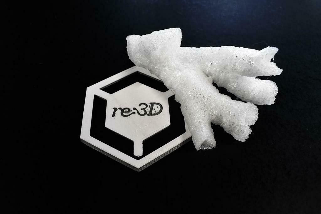 Free 3D file 3D Printing Coral・3D printer model to download・Cults