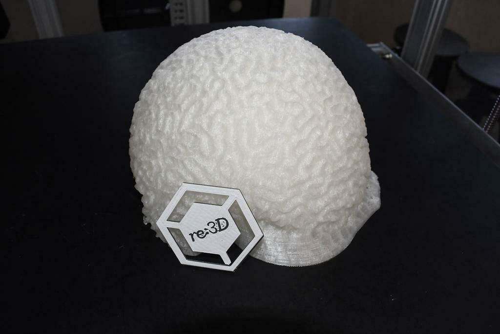 Free 3D file 3D Printing Coral・3D printer model to download・Cults