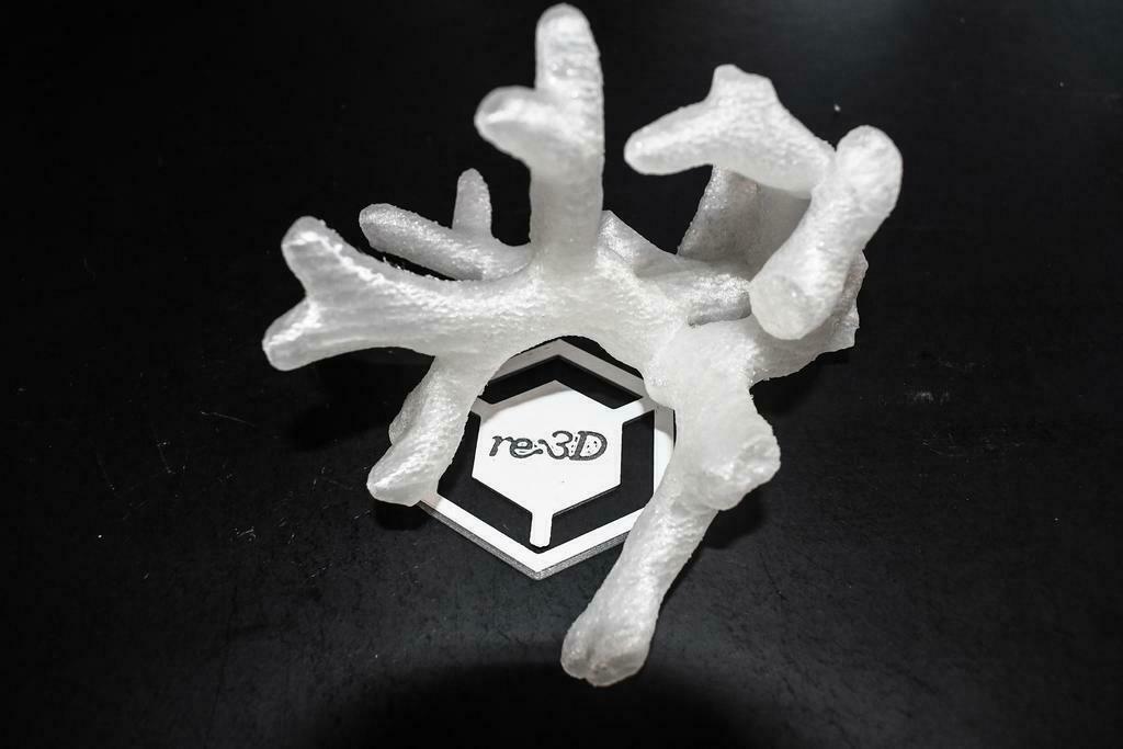 Free 3D file 3D Printing Coral・3D printer model to download・Cults