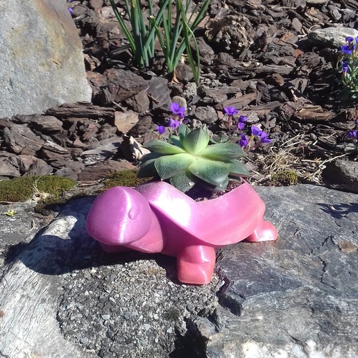 3D print Turtle Planter ・ Cults