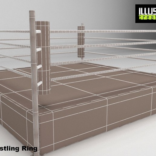 Download STL file Wrestling Ring ・ Cults