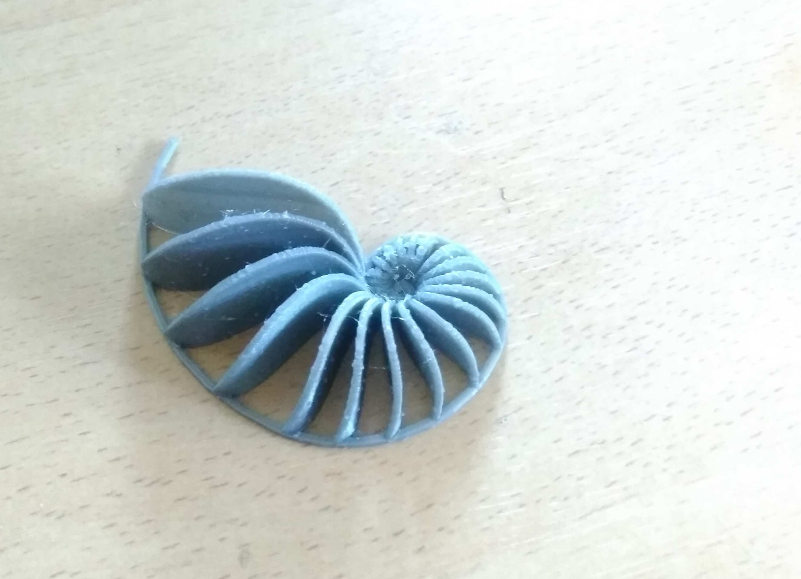 Archivo STL gratis Fibonacci nautilus shell rose conch・Modelo para ...