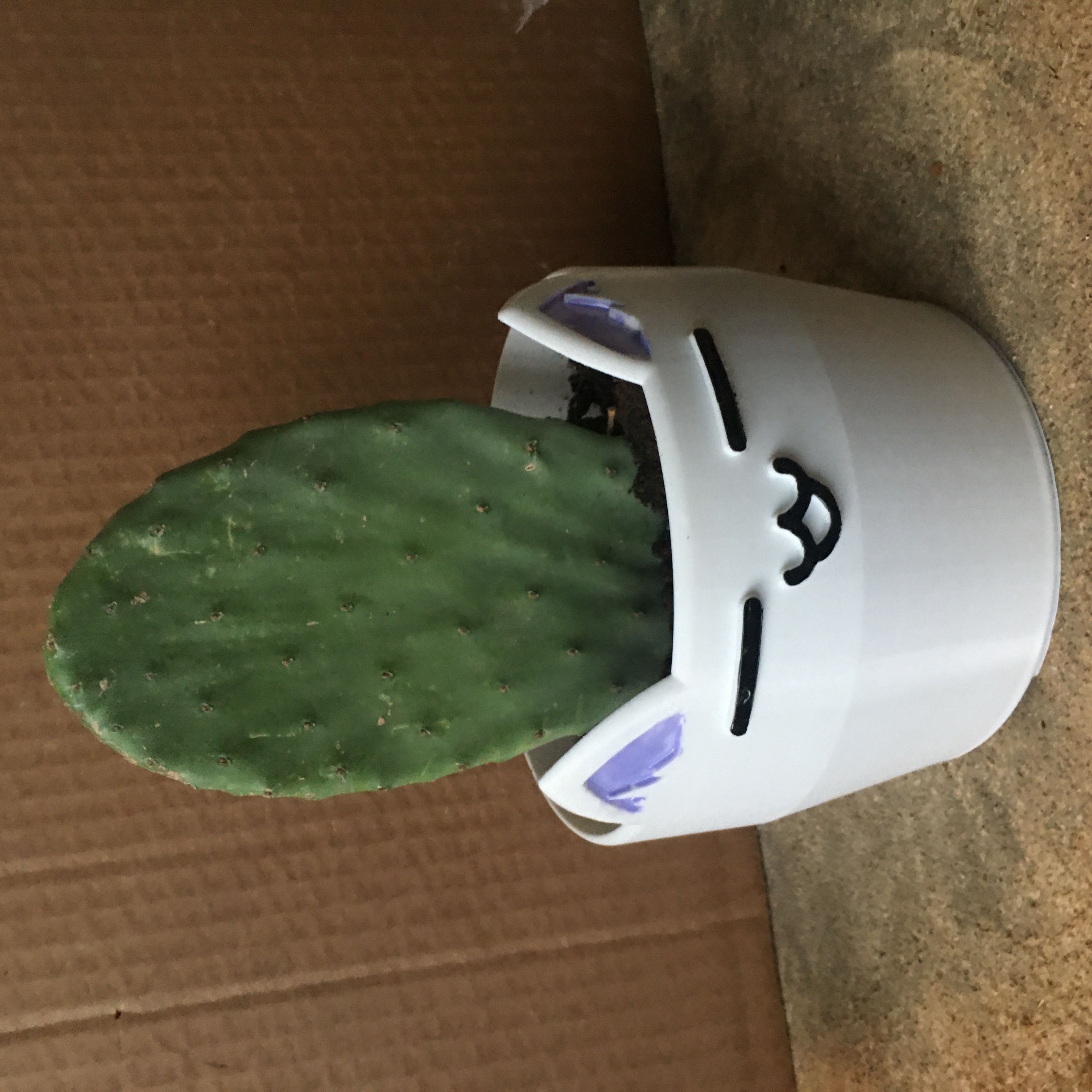 STL file cute pot cat・3D printer design to download・Cults