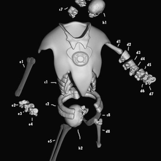 Download 3D model Slushh (Just for Resin Printer) ・ Cults