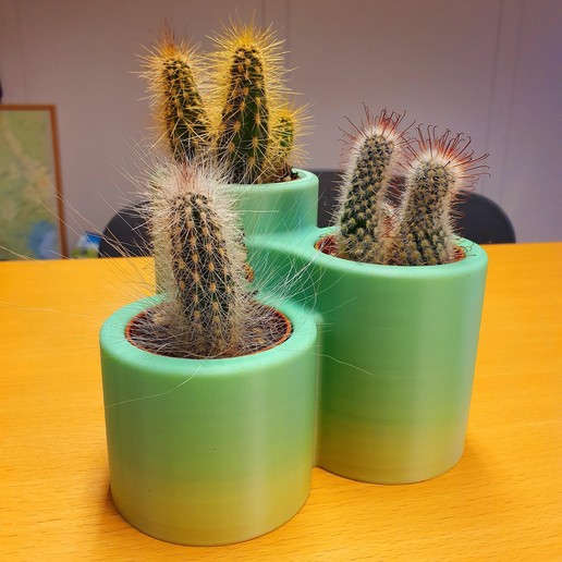 Download free STL file Cactus Pot x3 ・ Cults