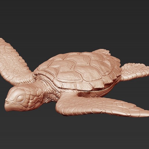 Download STL file Sea Turtle • 3D print design ・ Cults