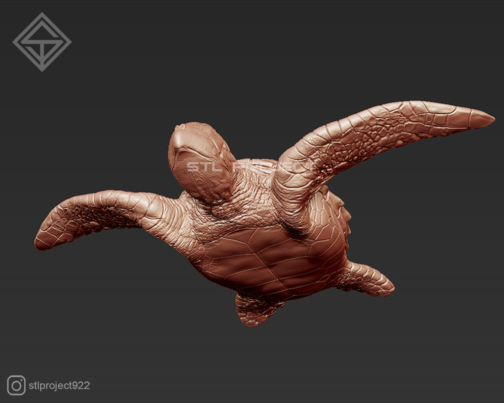 STL file Sea Turtle 🐢・3D printing model to download・Cults