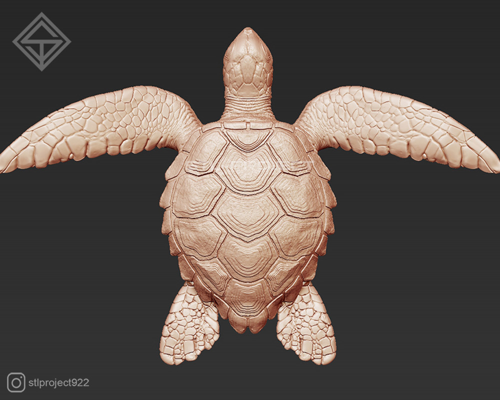 STL file Sea Turtle 🐢・3D printing model to download・Cults