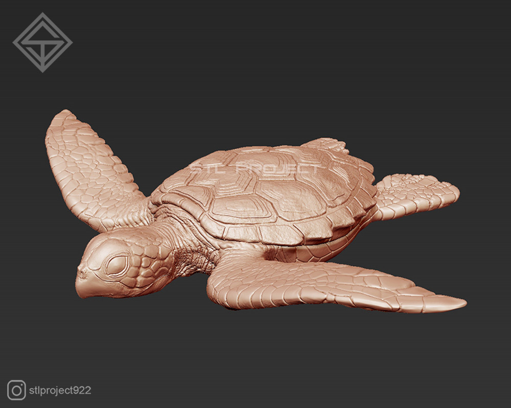 STL file Sea Turtle・3D printing model to download・Cults