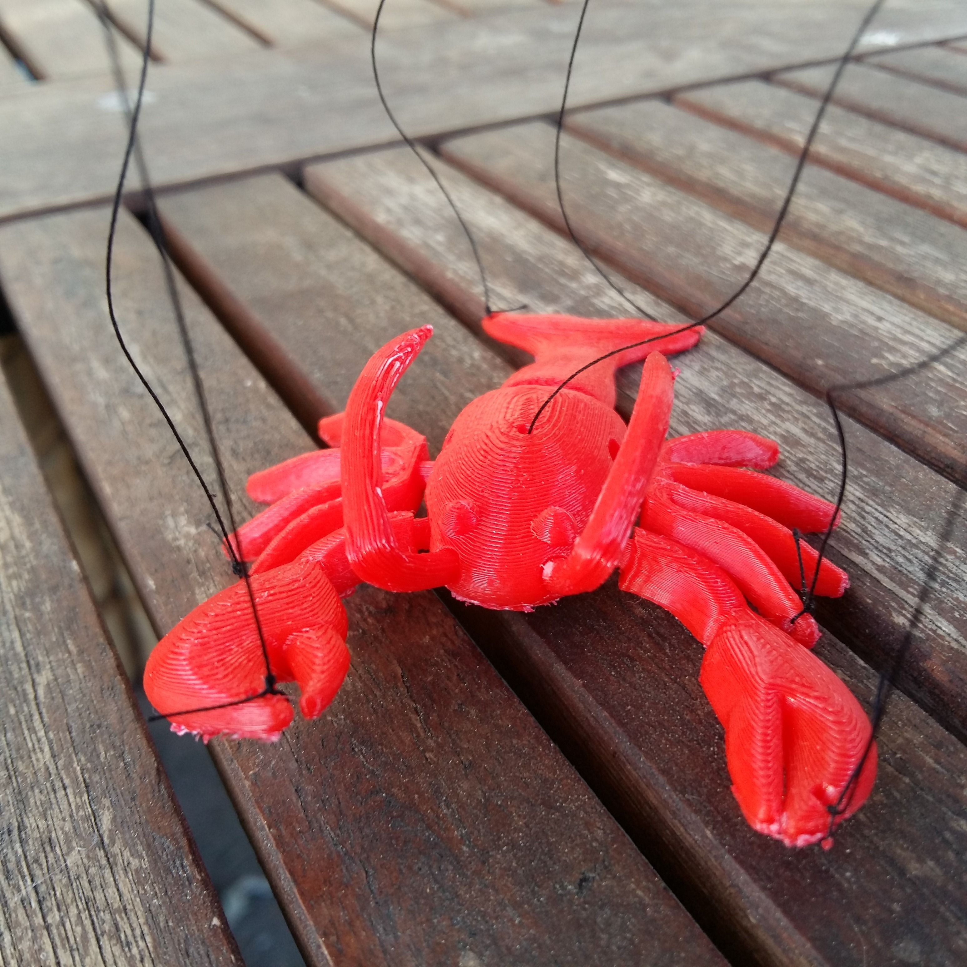 Free STL file Lobster marionette 🦞・3D printer model to download・Cults