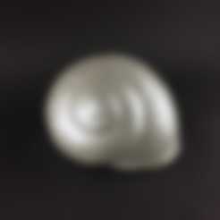 Download STL files Snail Shell ・ Cults