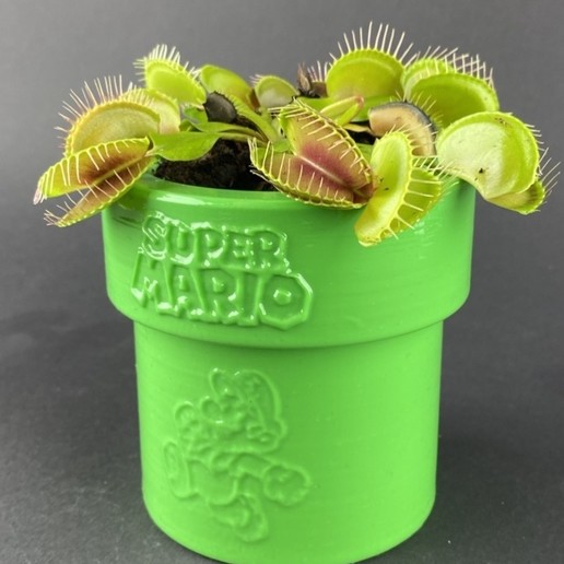 Download 3D print files Super Mario Pipe Vase ・ Cults